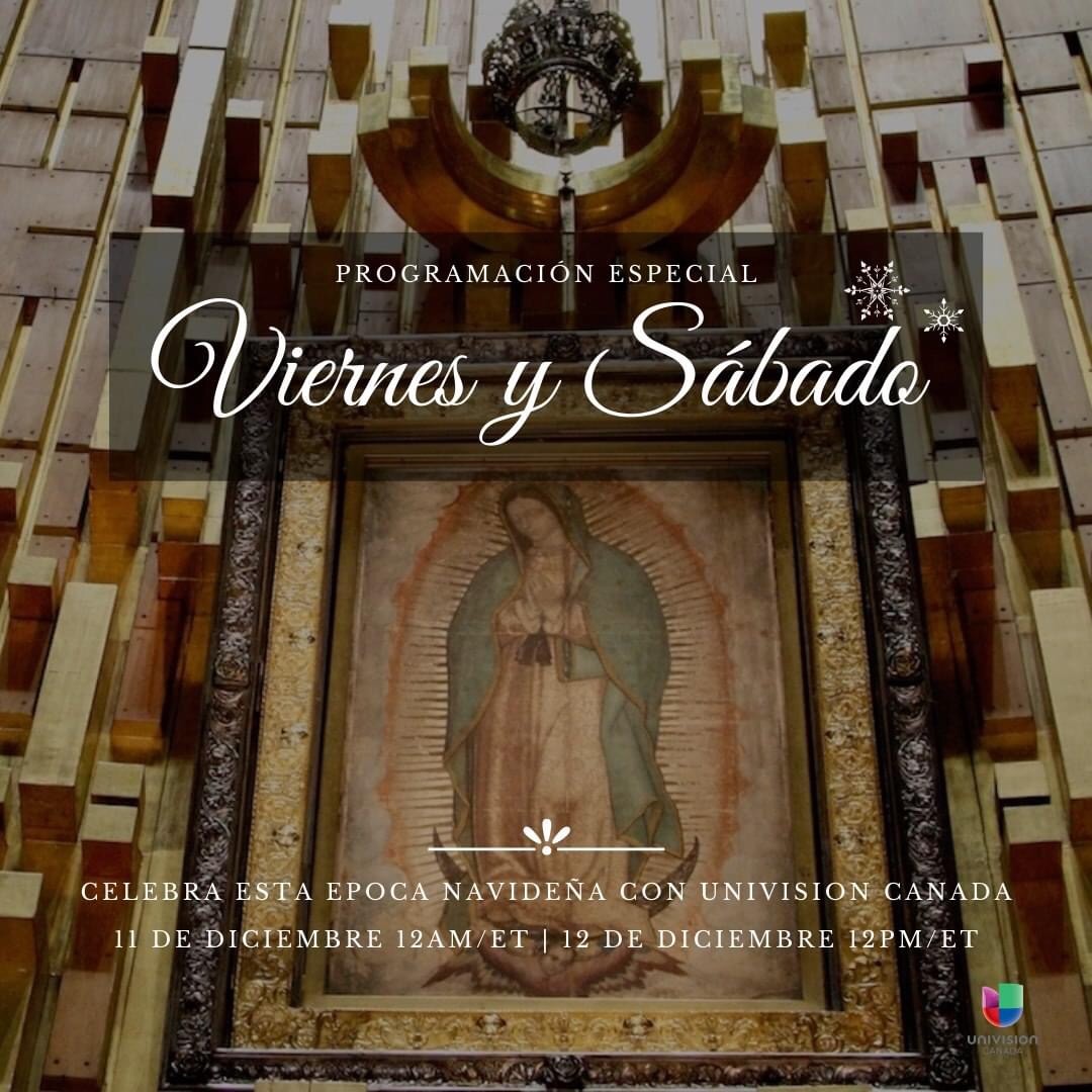 Home - Univision Canada